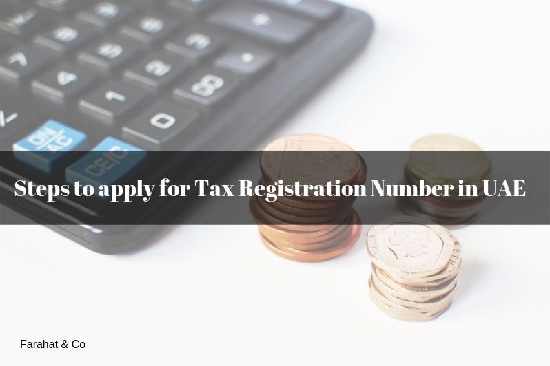 Steps To Apply For Tax Registration Number In UAE VAT Registration UAE
