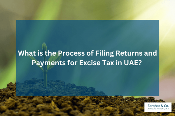 Process of Filing Returns and Payments for Excise Tax in UAE?