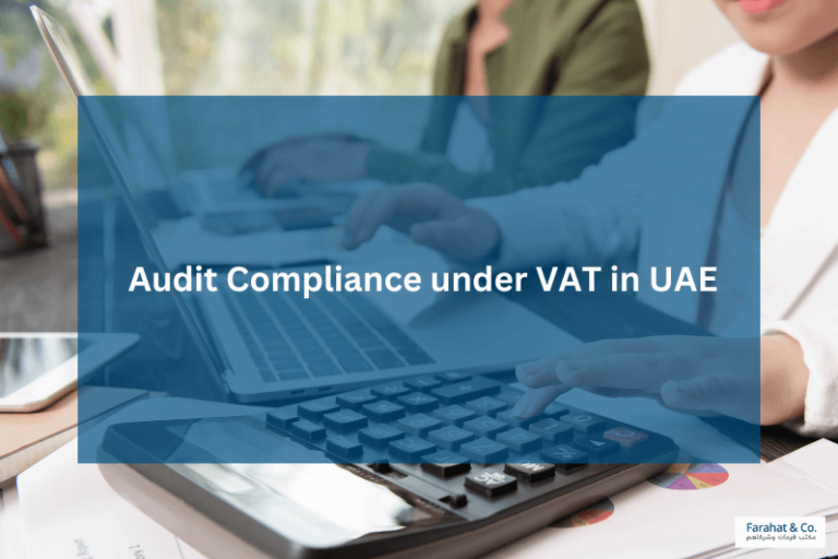 How do you conduct a VAT audit in UAE?